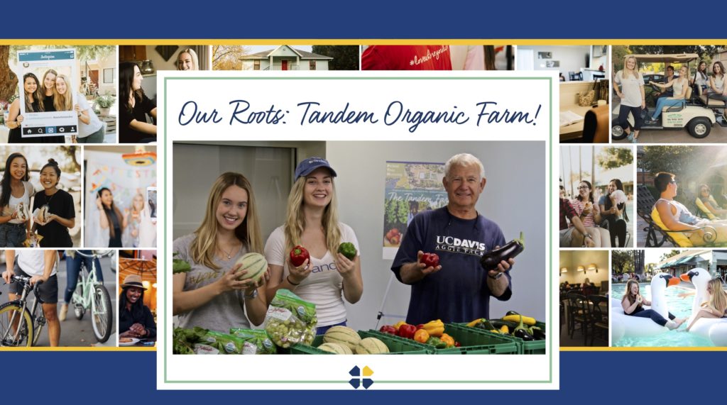 Our Roots: Tandem Organic Farm in Davis - Davis Apartments - Tandem ...